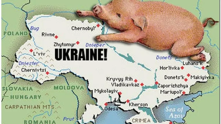 Ukrajina nemoćna pred svinjskom gripom - Net.hr