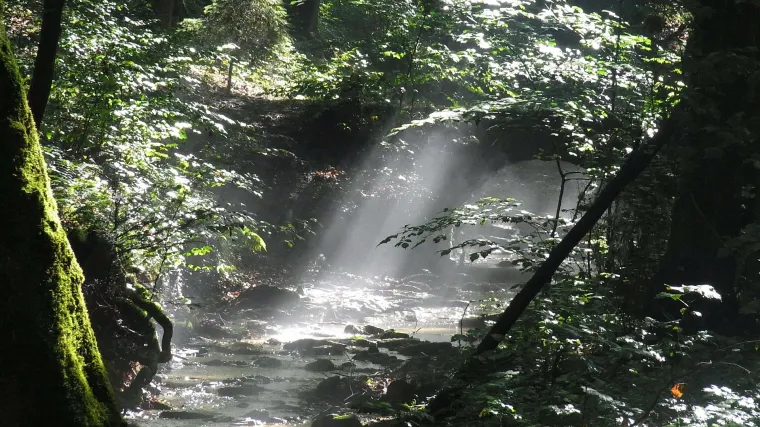 Azija klima - znate li kakva klima vlada u Aziji? - Net.hr