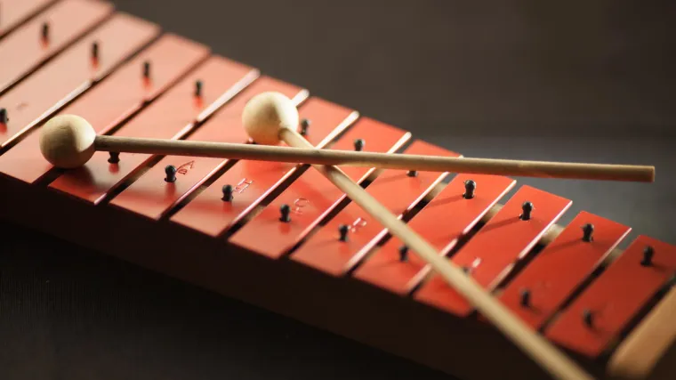 Ksilofon instrument - Net.hr